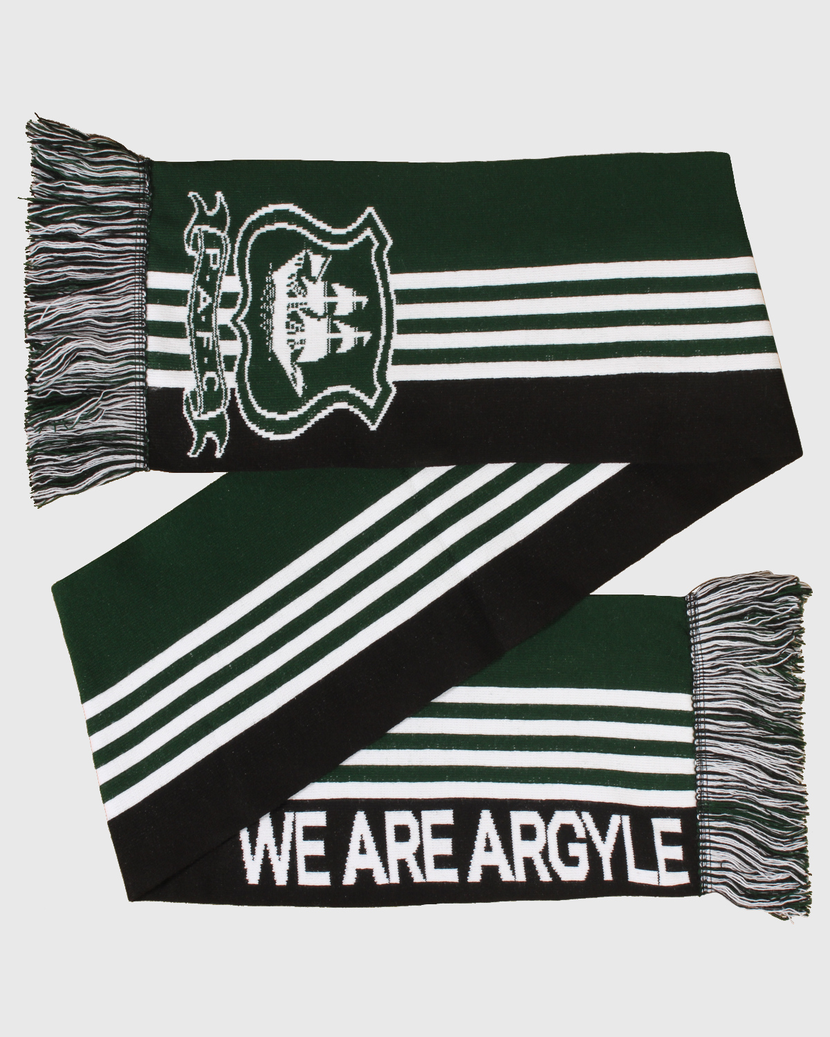 We Are Argyle Scarf
